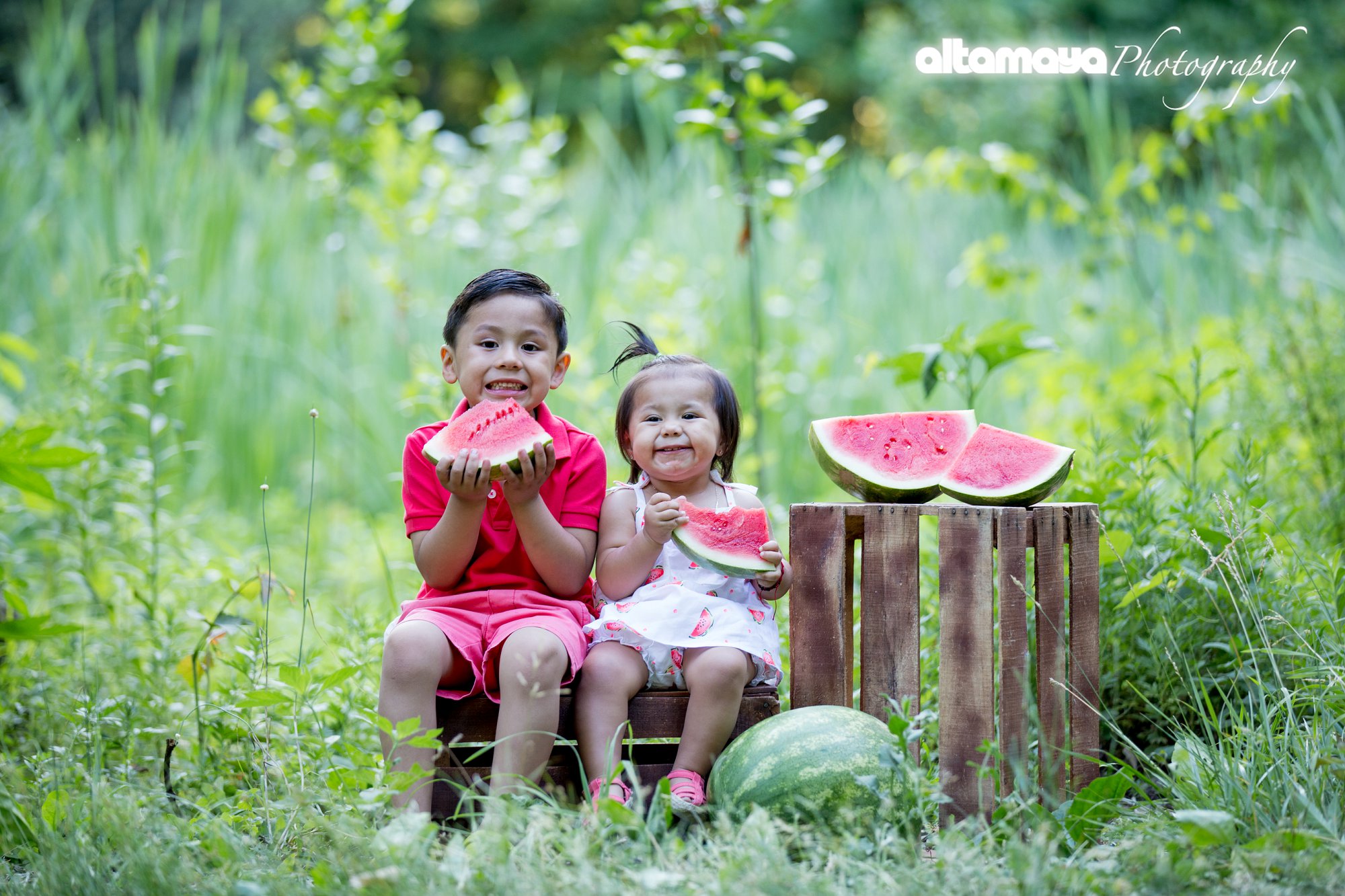 Summer-Watermelon photo session - Mini sessions | Erika Rosales New ...