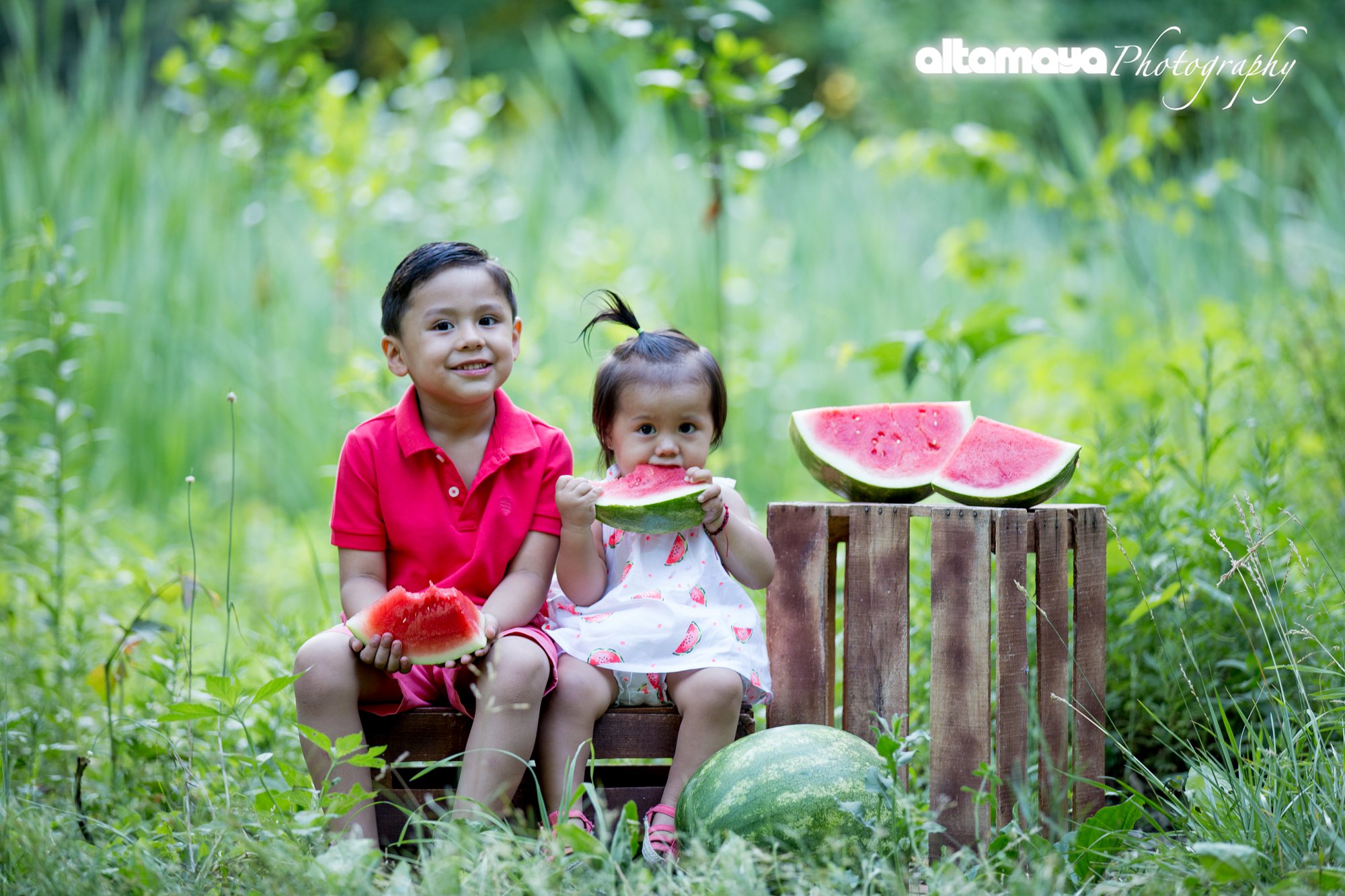 Summer-Watermelon photo session - Mini sessions | Erika Rosales New ...