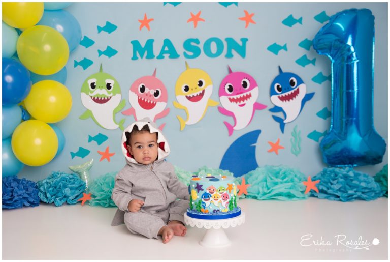 Baby Shark Cake Smash - Baby Photographer The Bronx Studio - Erika ...