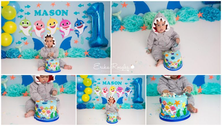 Baby Shark Cake Smash - Baby Photographer The Bronx Studio - Erika ...